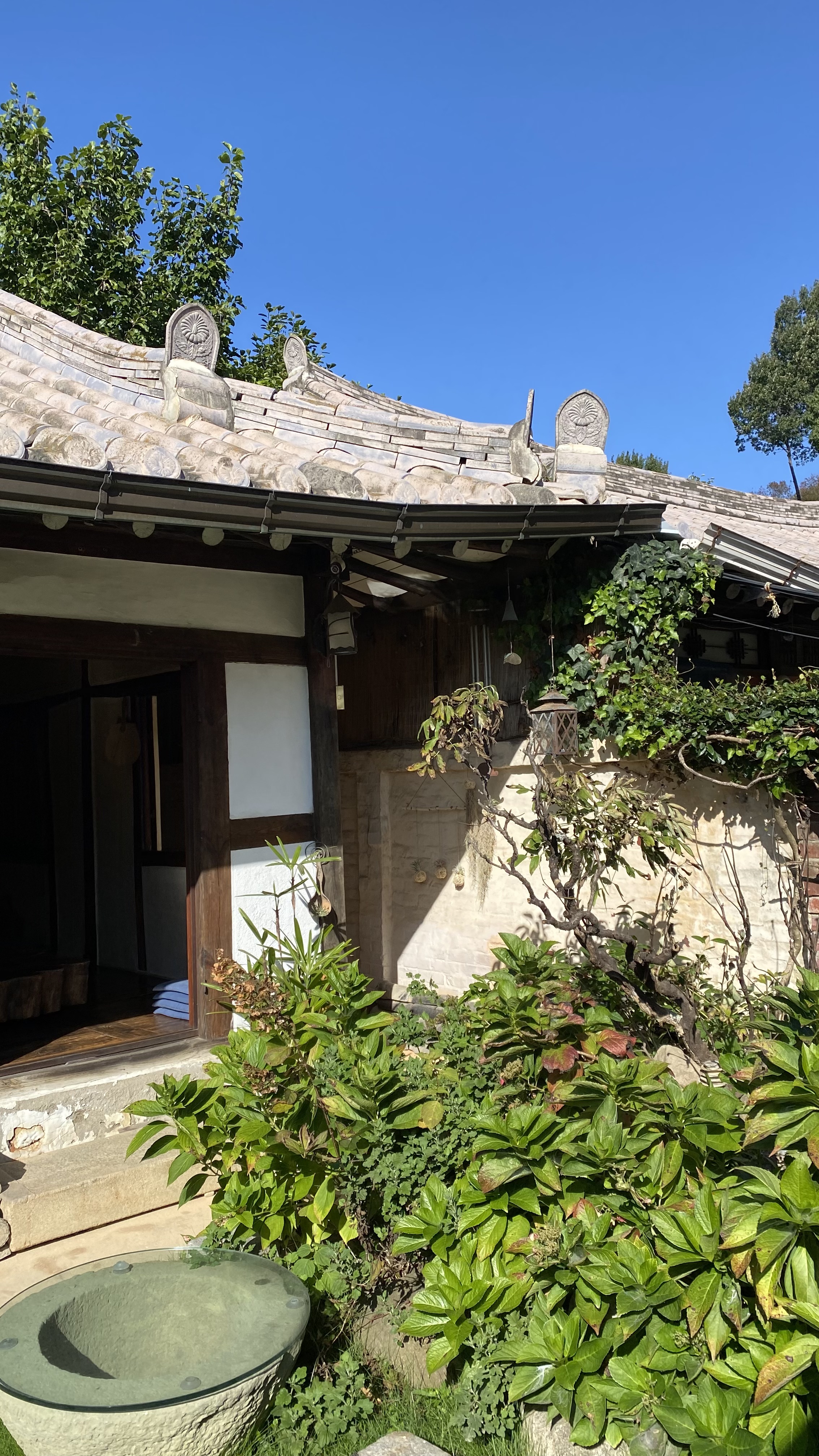 Gyodong Dawon: popular traditional teahouse in Jeonju - Tofu V Travels