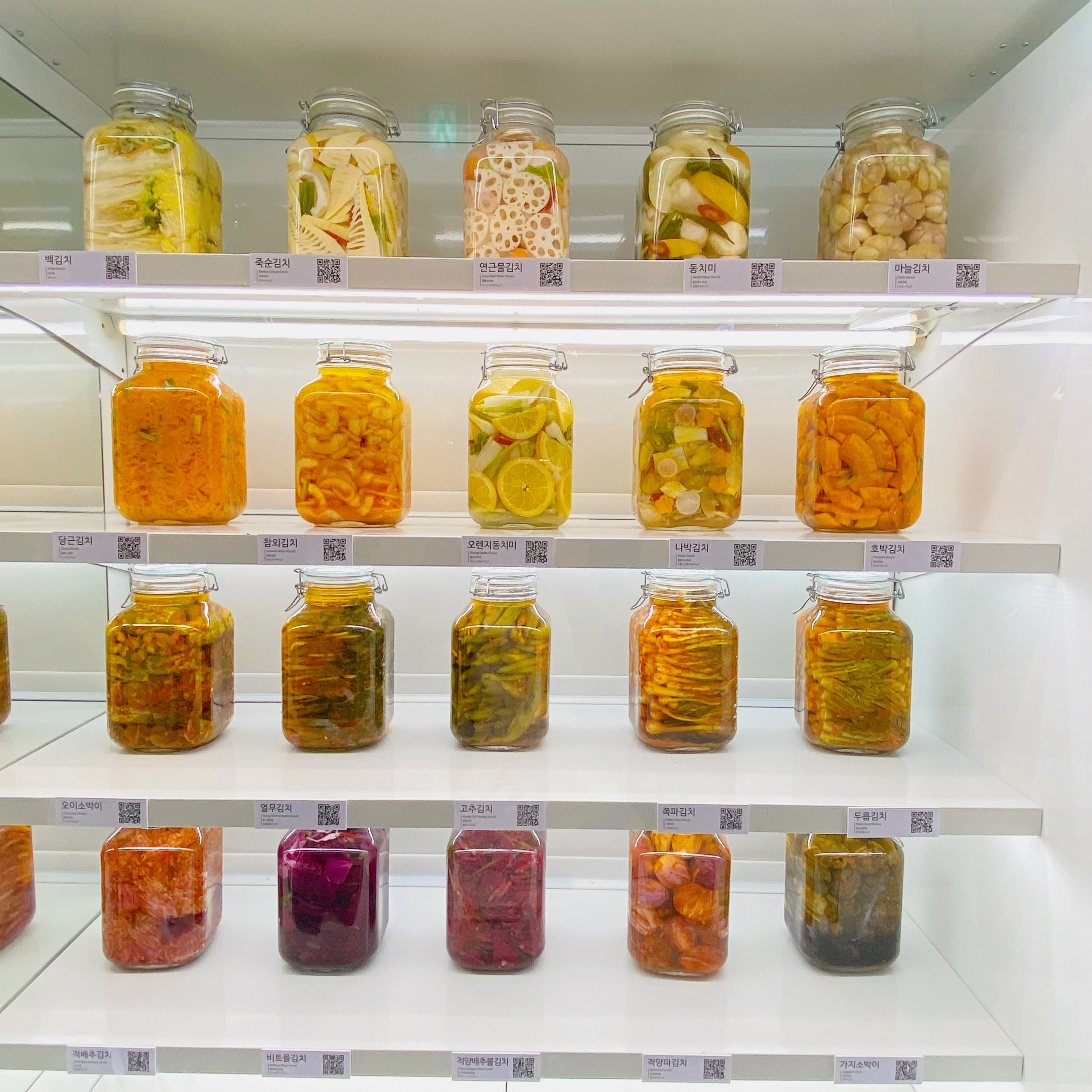 Museum Kimchikan: unique food museum in Seoul - Tofu V Travels