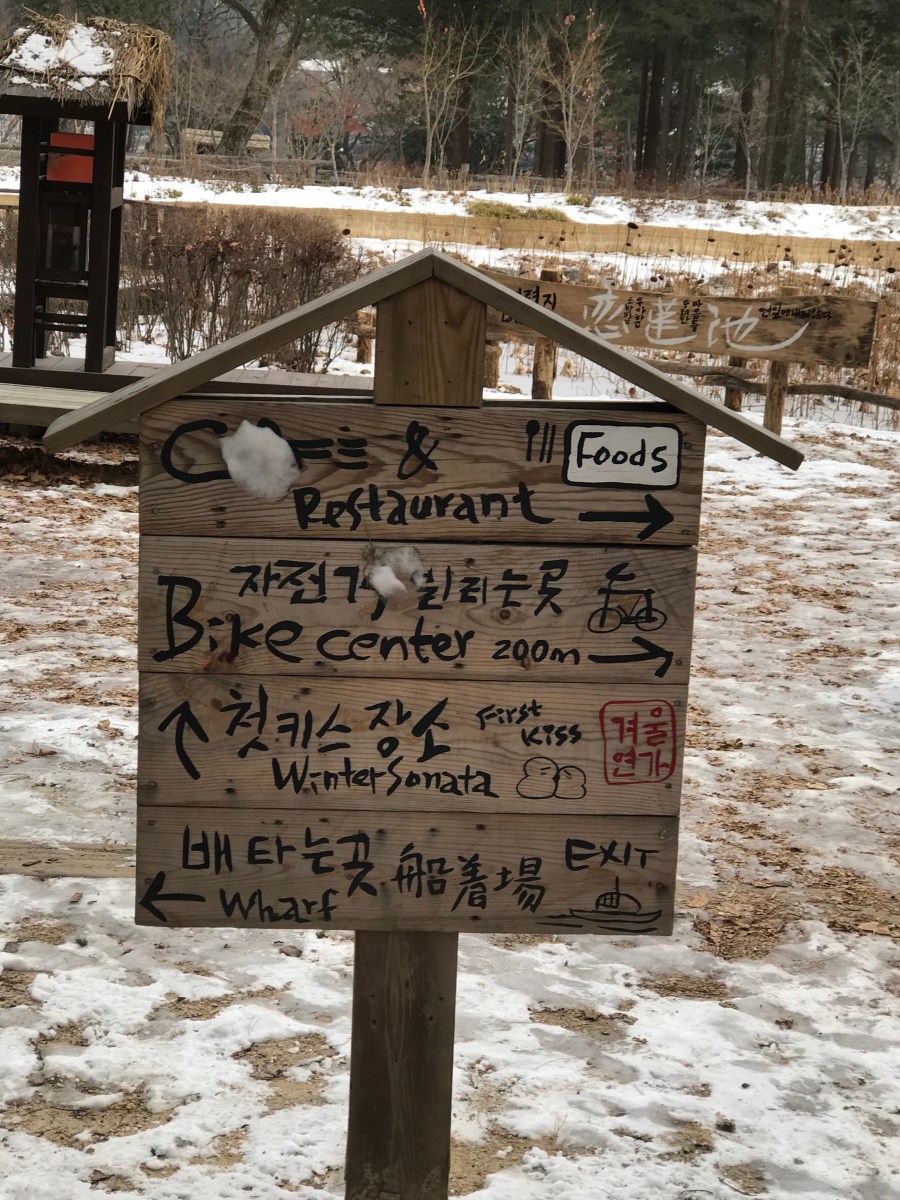 Nami Island: what to do & is it worth the trip? - Tofu V Travels