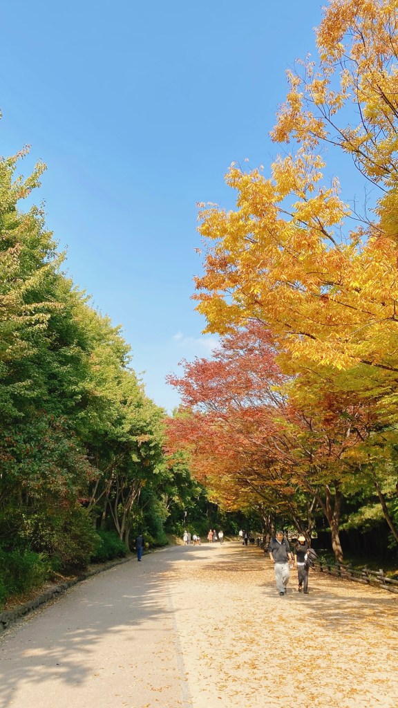 Seoul Forest: park in the city where locals hangout - Tofu V Travels